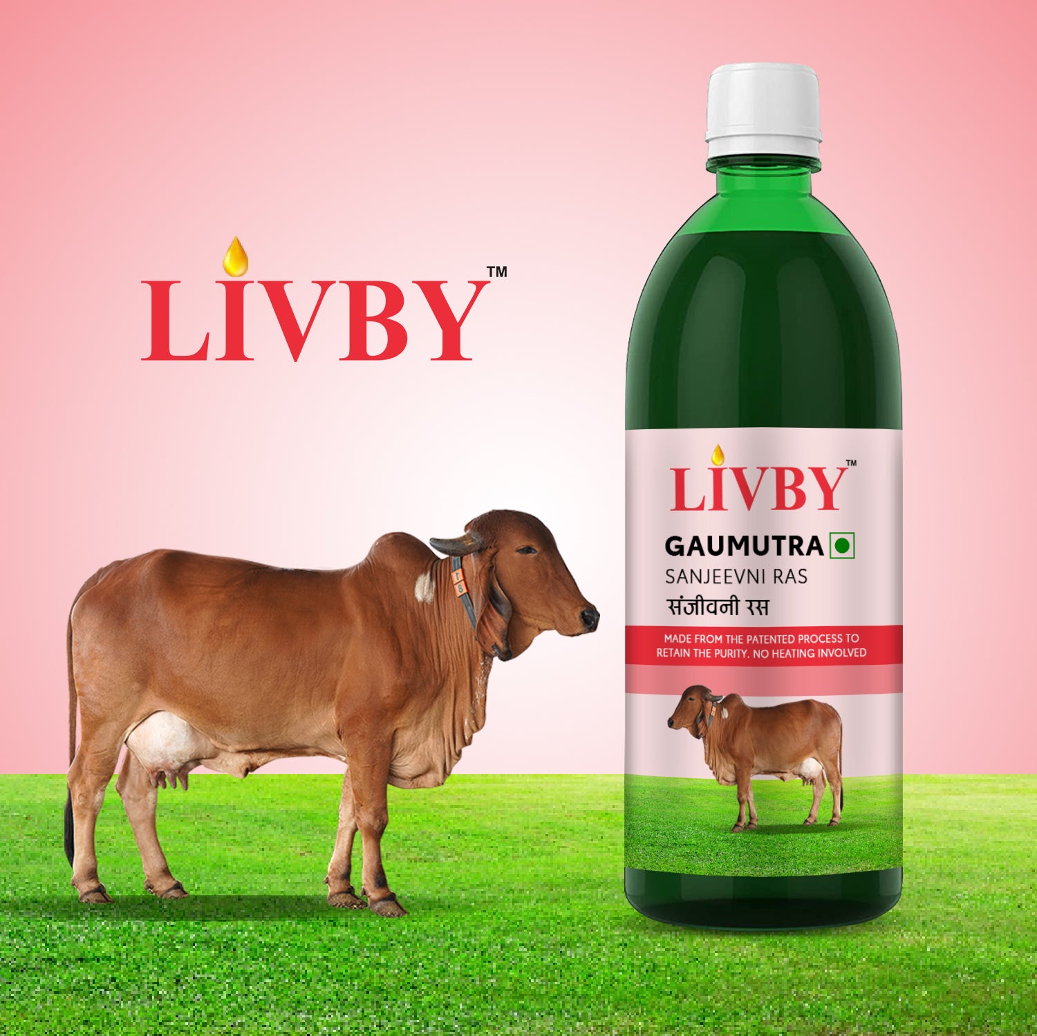 Gaumutra - Sanjeevni Ras - Cow Urine from Patented Process, No Heating – Livby